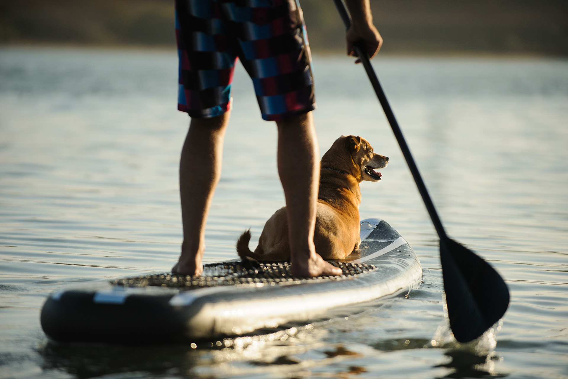 Onsite Restaurant/Lounge